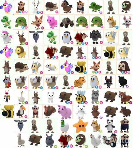 Продаю петов