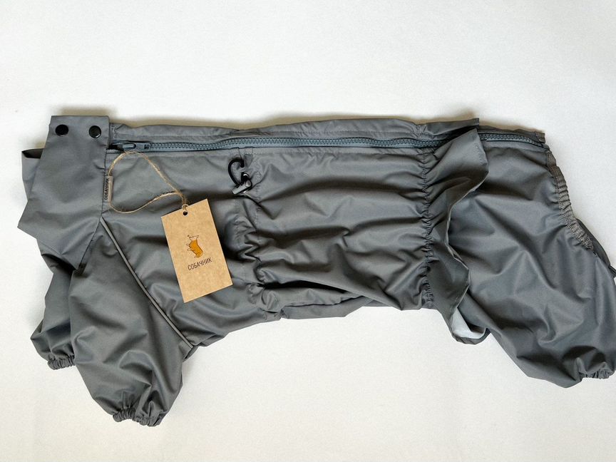 Костюм для корги