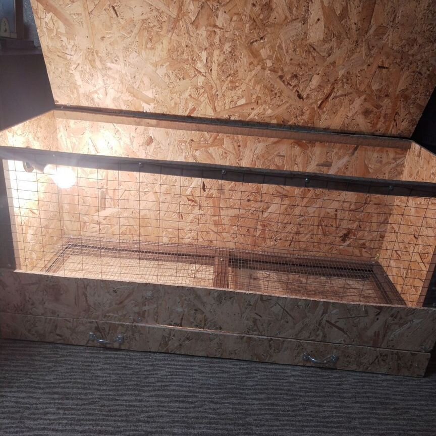 Брудер клетка для цыплят