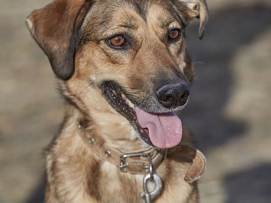 Воспитанная Кнопа с тонкой душевной организацией