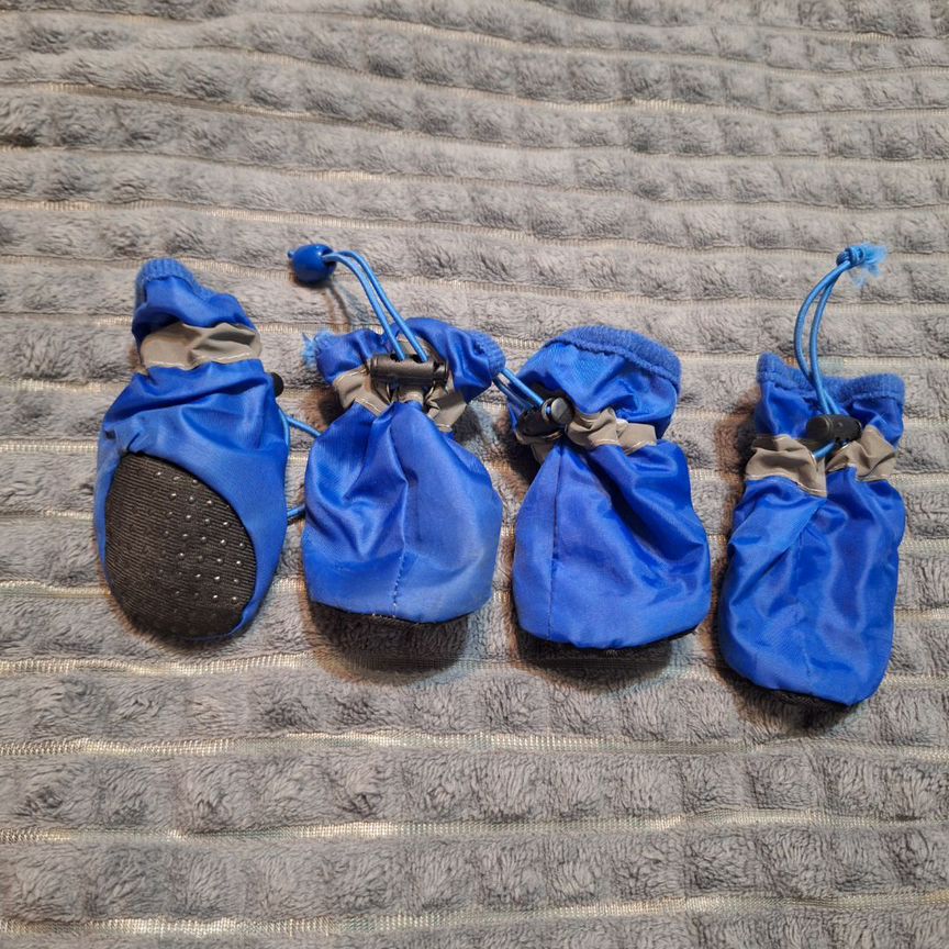 Ботинки для маленьких собак