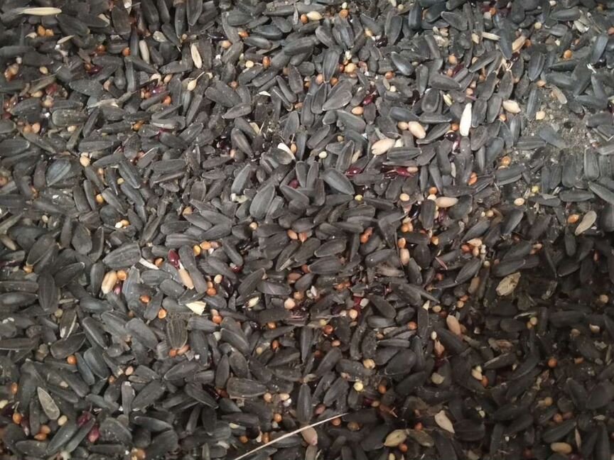 Отходы зерно смеси