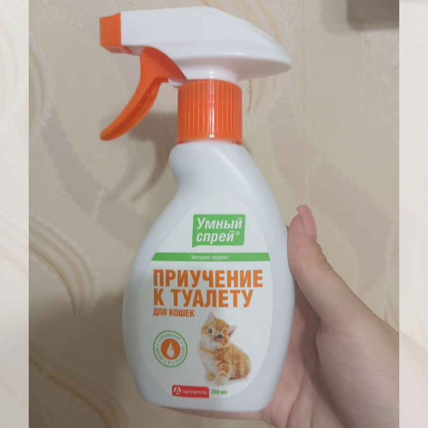 Для котят