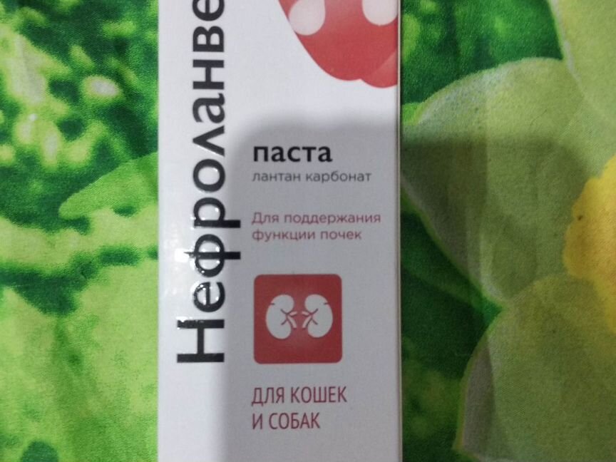 Нефроланвет