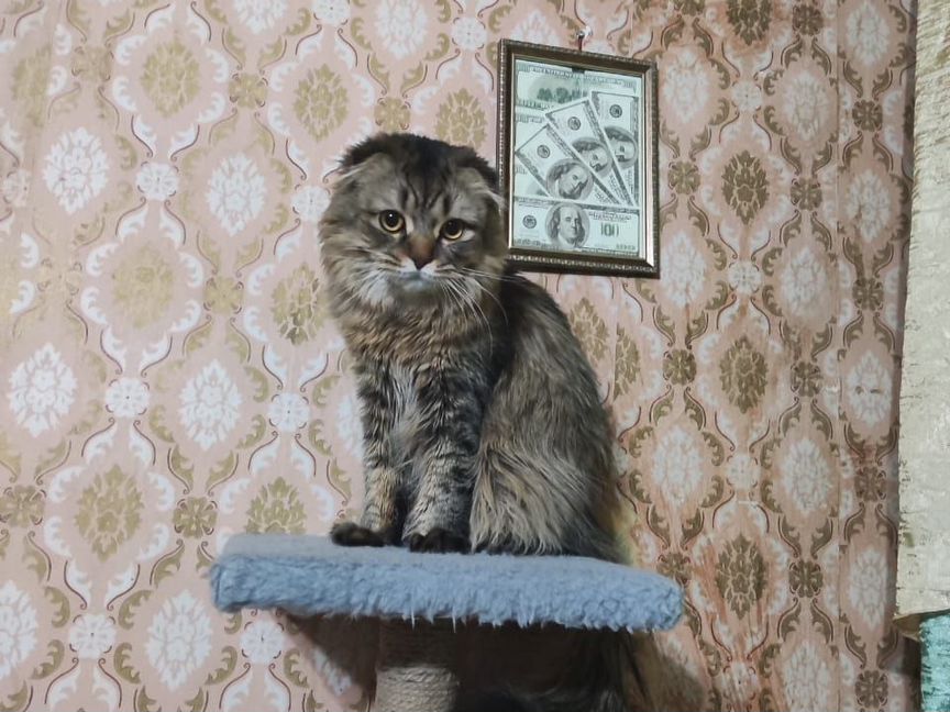 Вязка