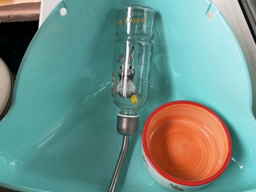 Лоток угловой, поильник, миска для кролика/свинки