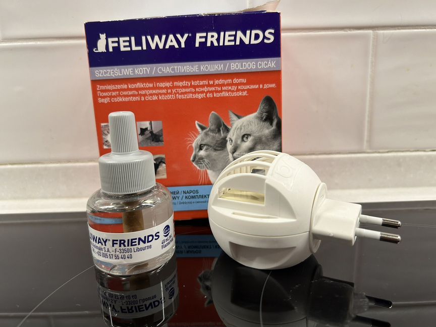 Feliway friends