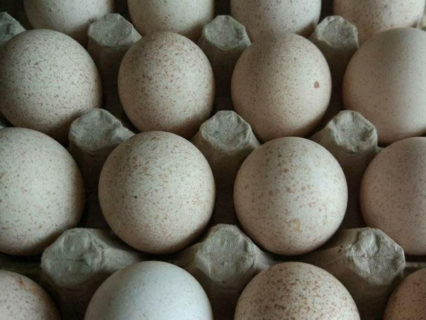 Индюшинное яйцо (бронза серебристая)