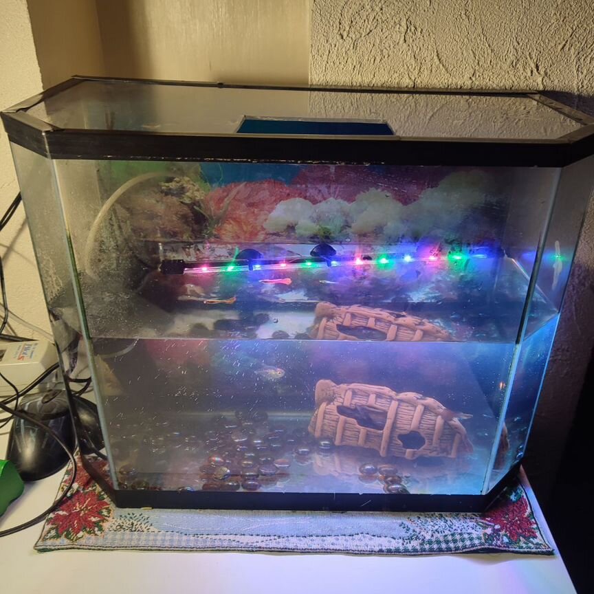 Аквариум с рыбками