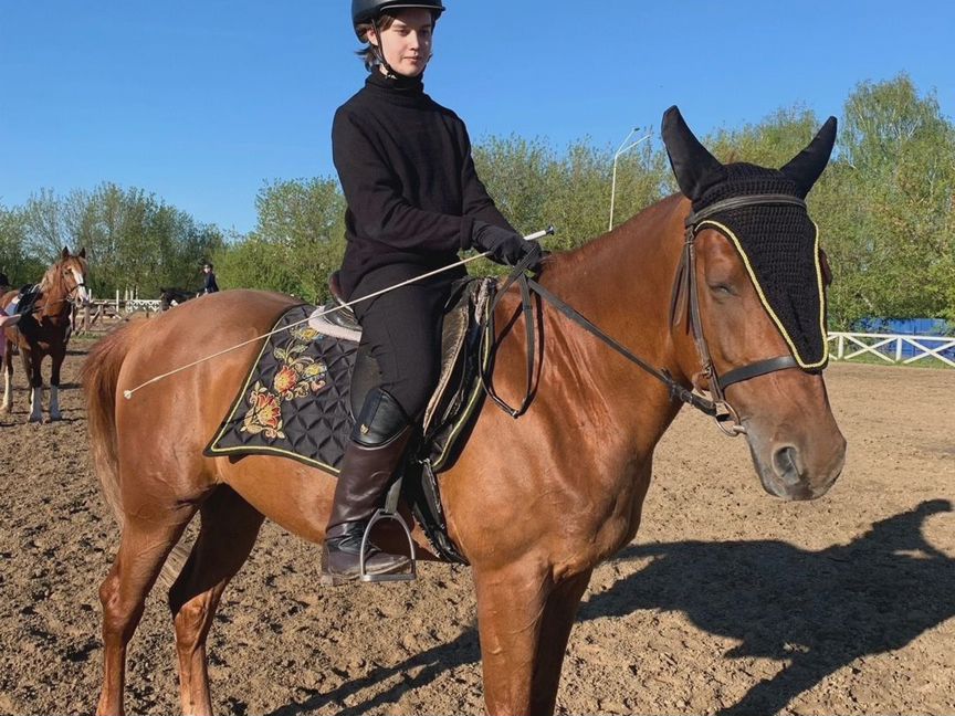 Конная амуниция