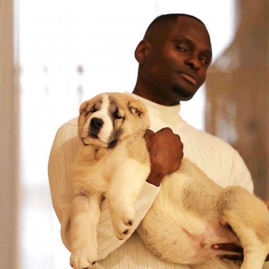 Щенки алабая с перчинкой