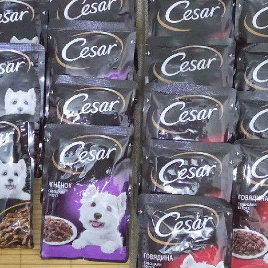 Корм для собак Cesar
