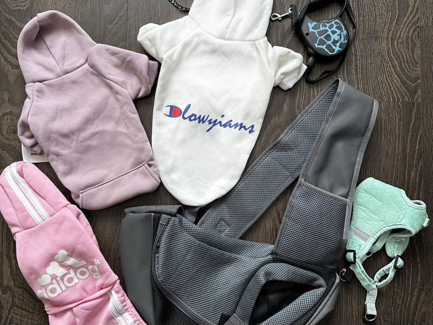 Вещи для маленьких собак