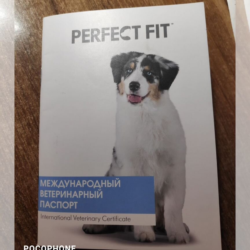 Паспорт для щенка