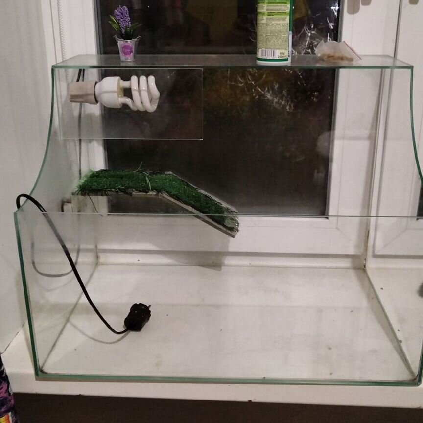 Аквариум для черепах большой