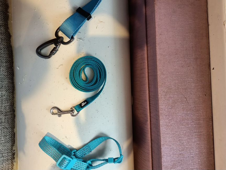 Шлейка, поводки для щенков и маленьких пород собак