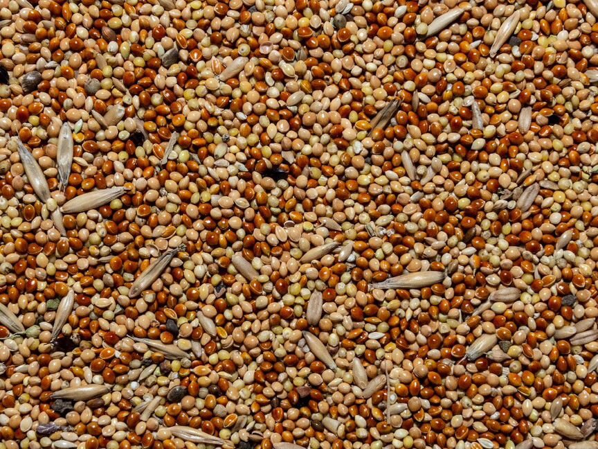 Корма для декоративной птицы, грызунов