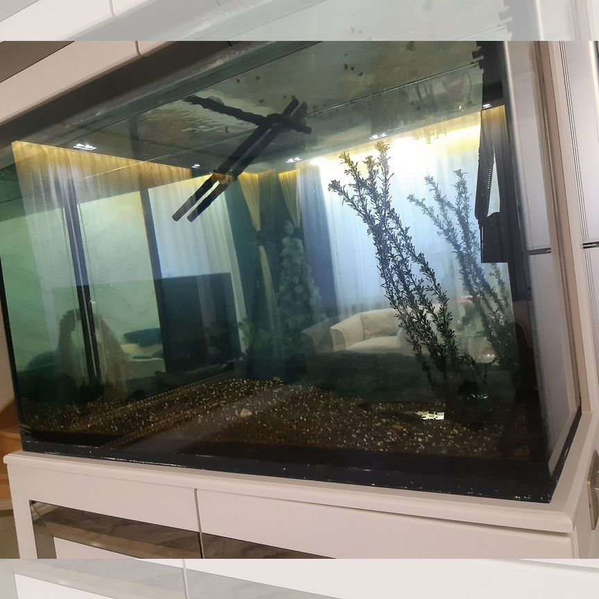 Продаю аквариум 400 л