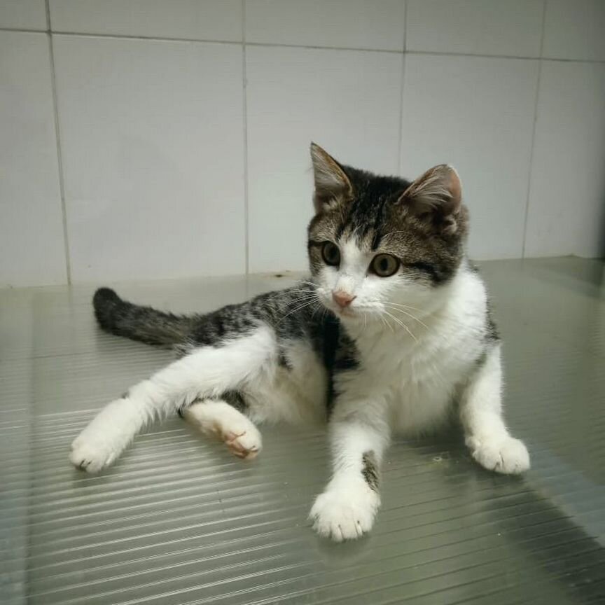 Подарок для Саида