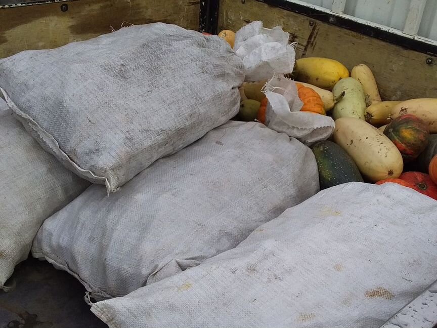 Картофель мелкий на корм скоту