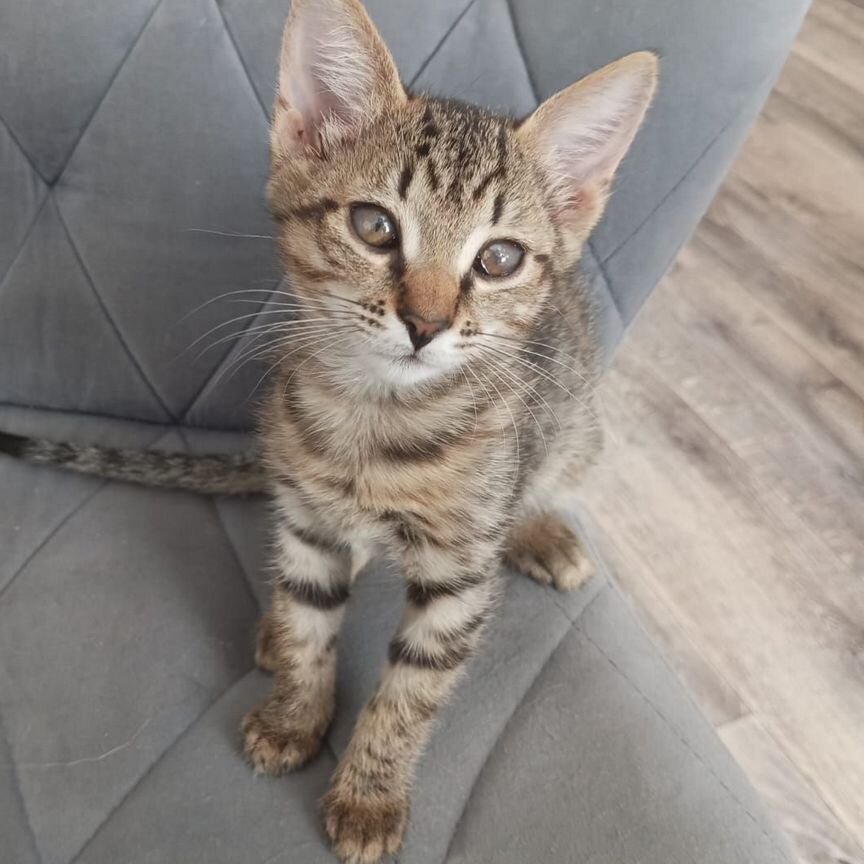 Чуть не ослепла на улице (малышка 2 мес)