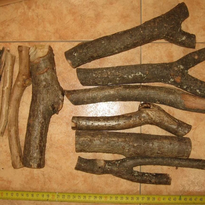 Дубовые ветки для аквариума. Отдам