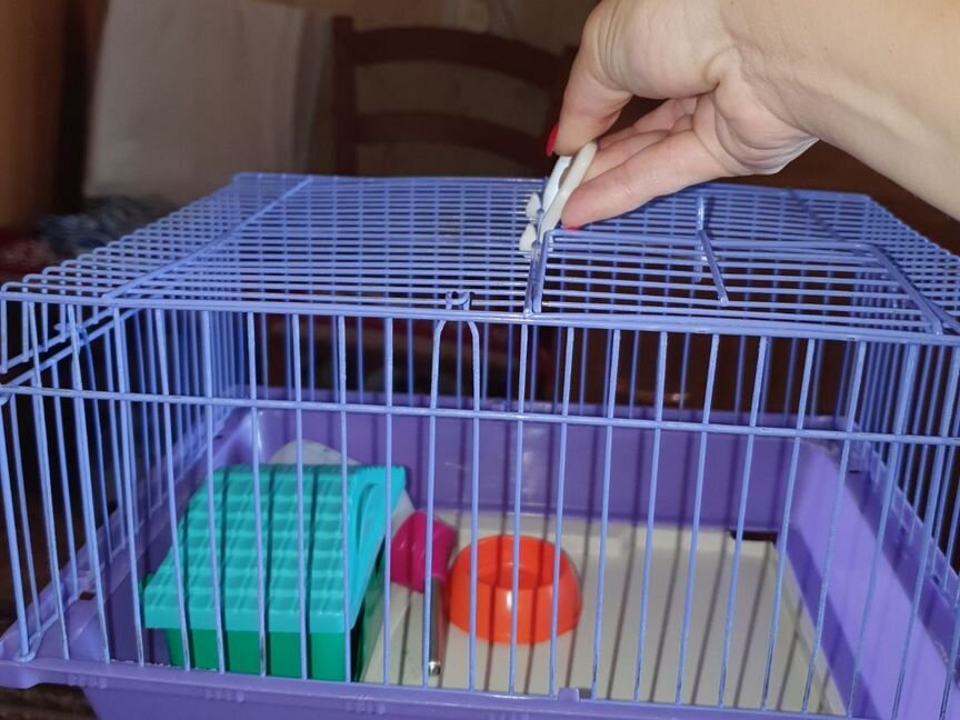 Клетки для грызунов