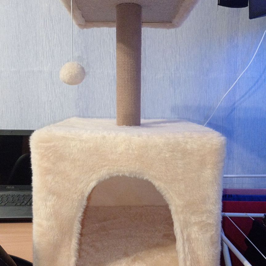 Когтеточка домик для кошки новый