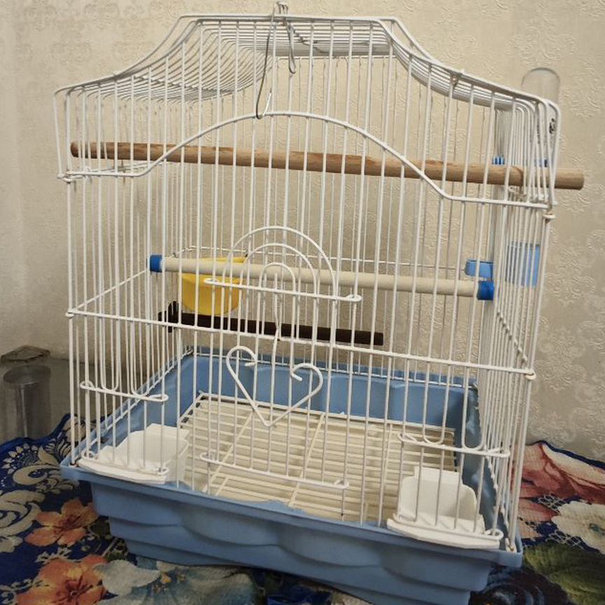 Канарейка (девочка)с клеткой