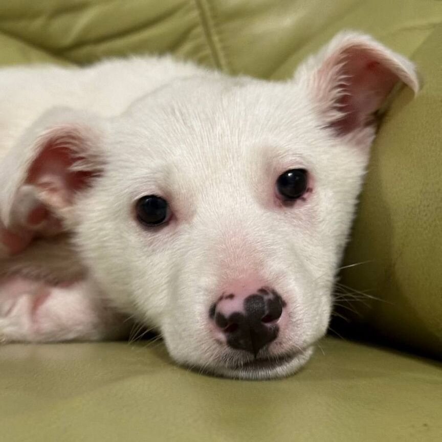 Сладкий мальчик ищет семью