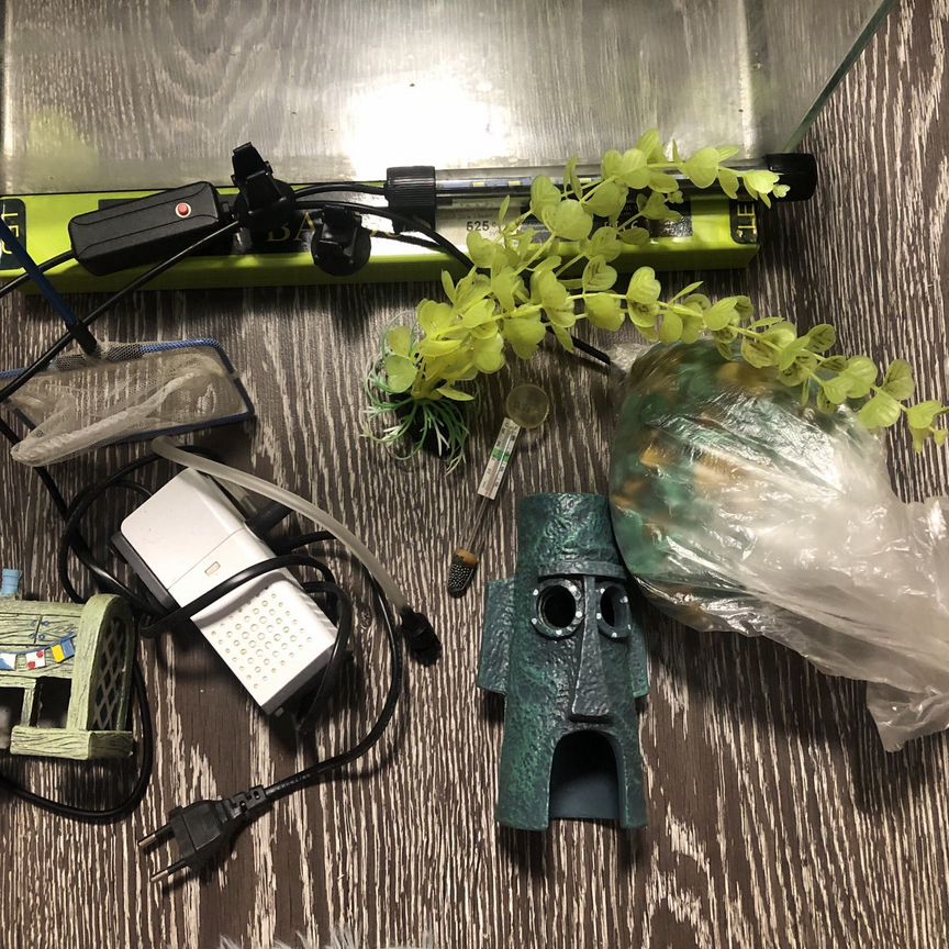 Аквариум со всеми атрибутами