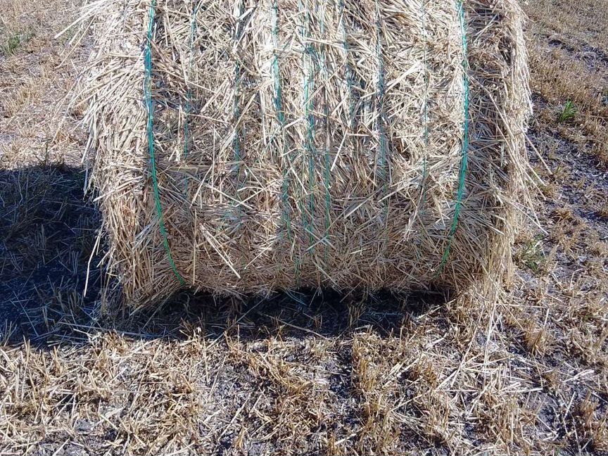 В продаже солома и овес в рулонах