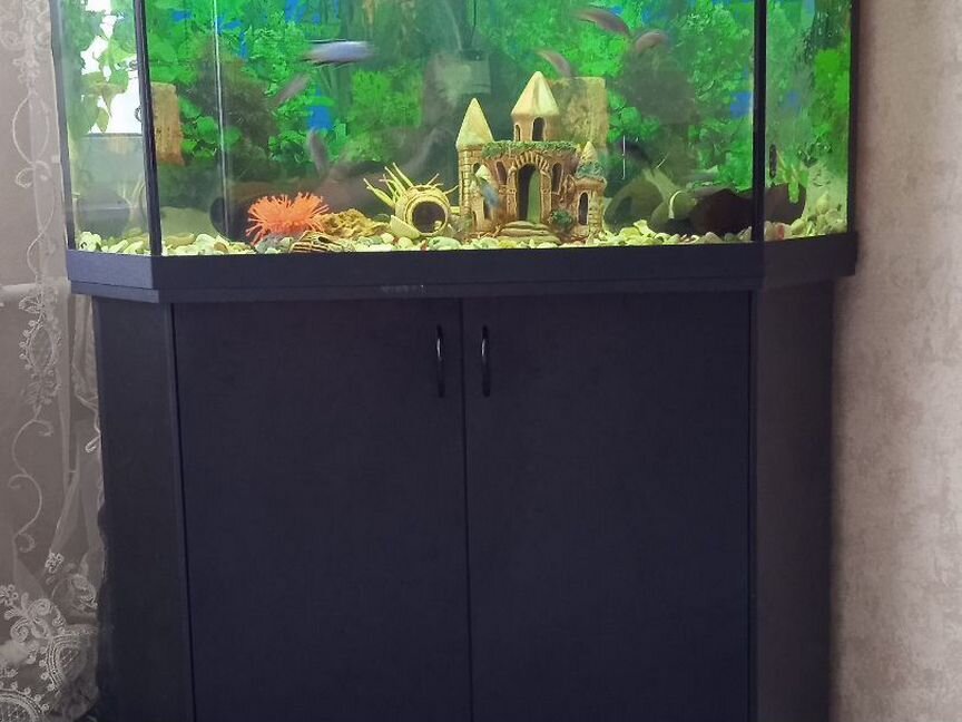 Аквариум угловой 250л с тумбой, полный комплект