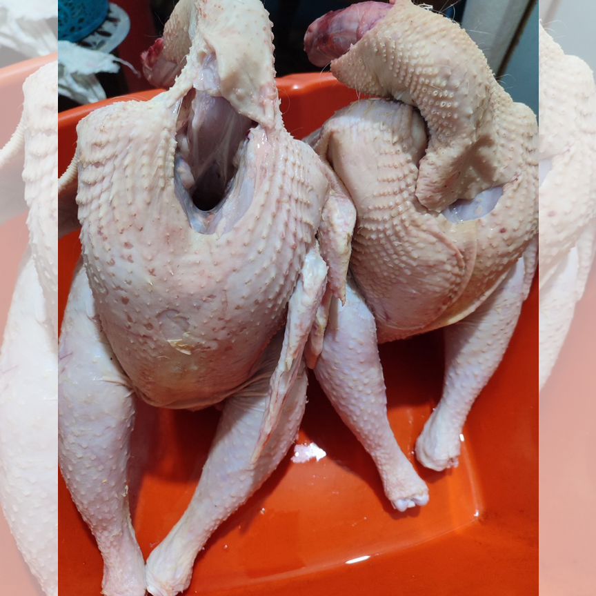 Бройлер доашний