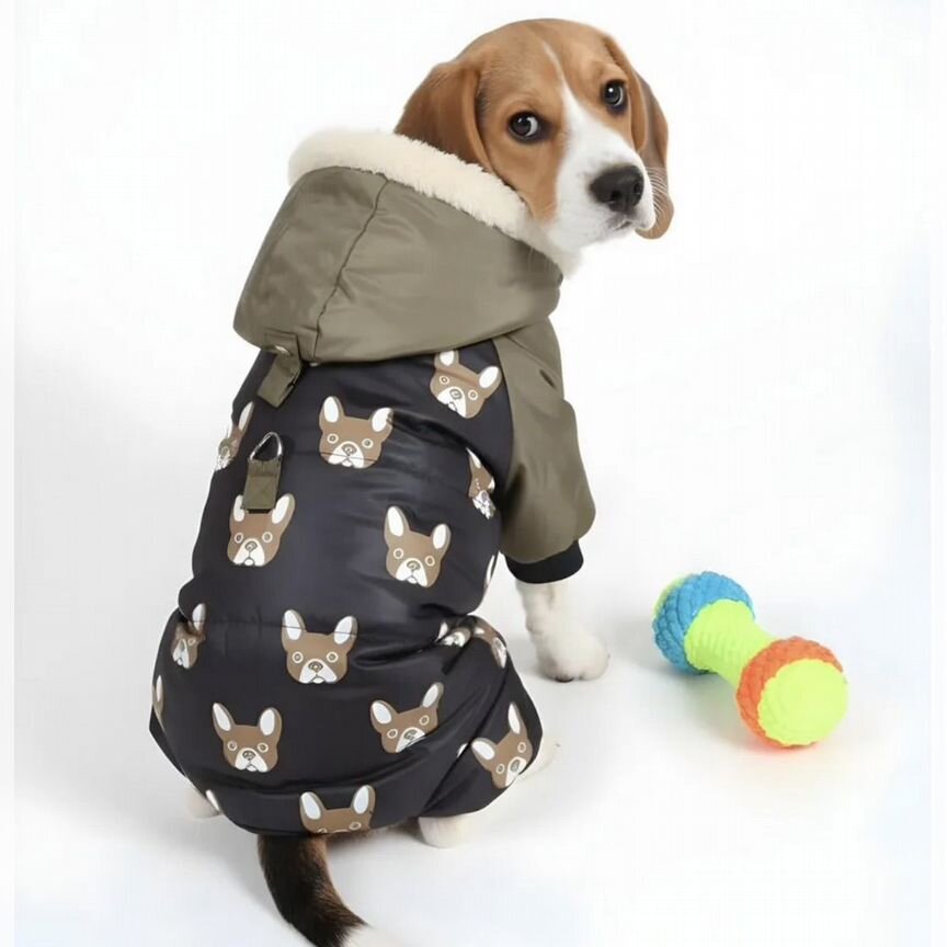 Одежда для собак средних пород