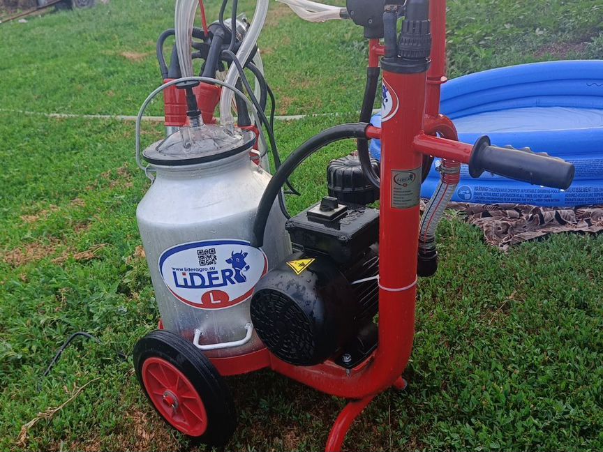 Доильный аппарат для коров