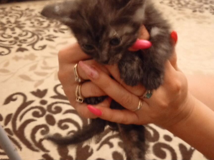 Маленькая девочка ищит добрую семью