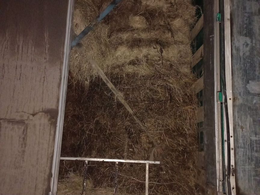 Сено в рулонах