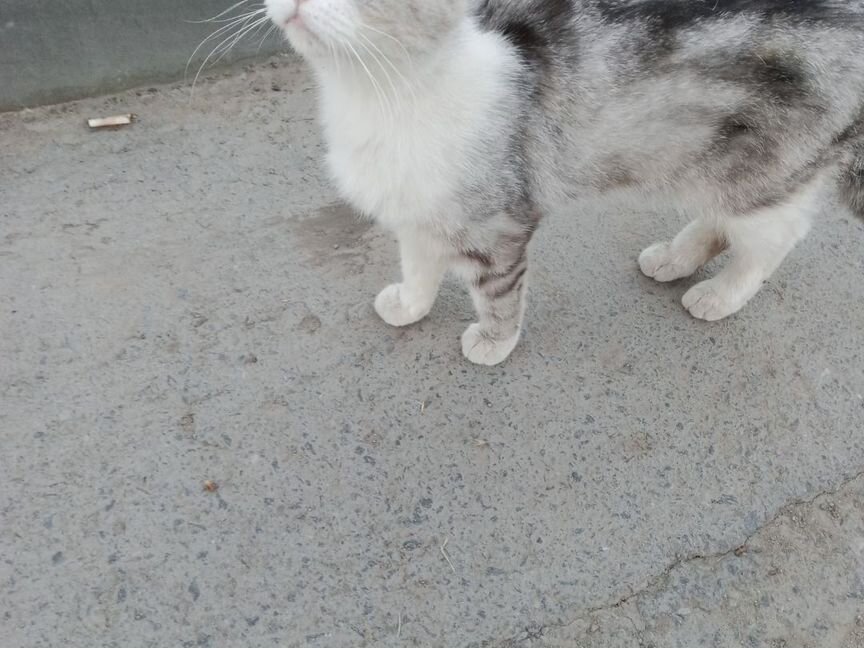 Помогите спасти