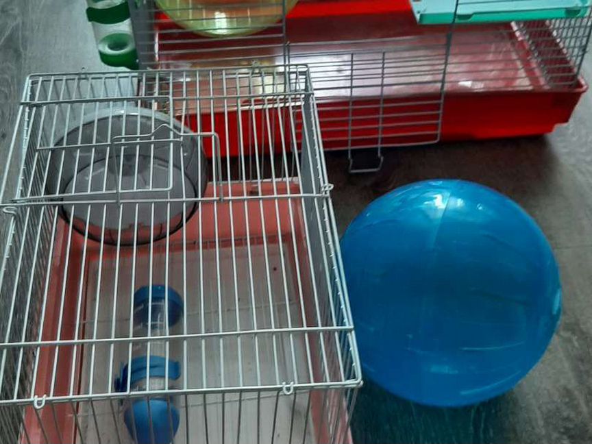 Две клетки и шар для хомяка