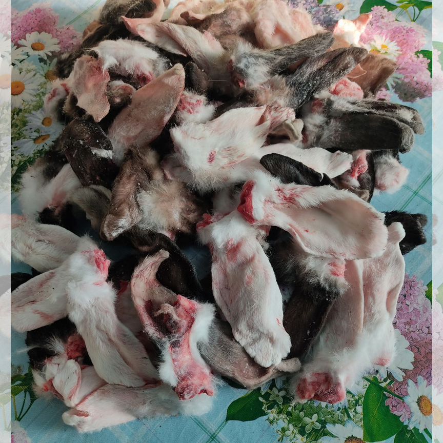 Кроличьи уши для собак