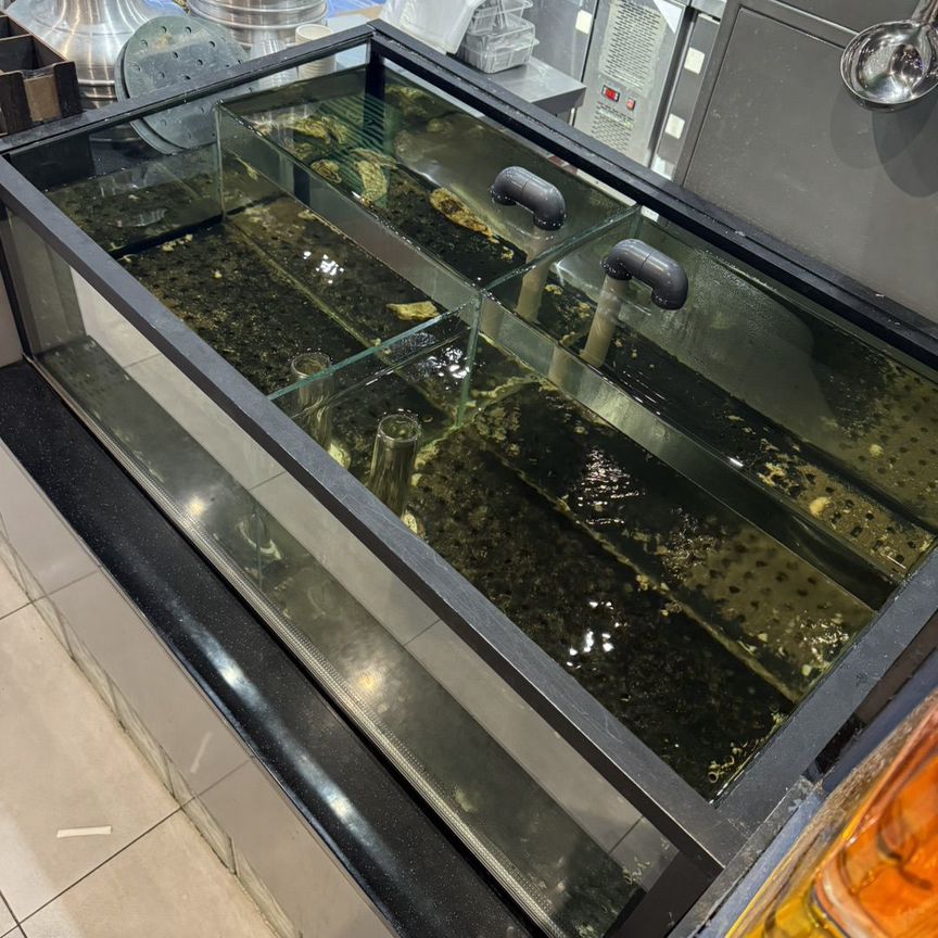 Аквариум для живых морепродуктов