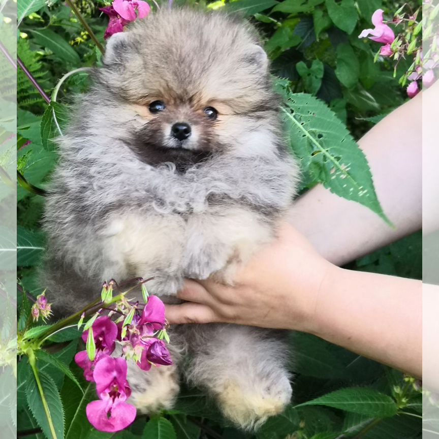 Шикарный мальчик для души