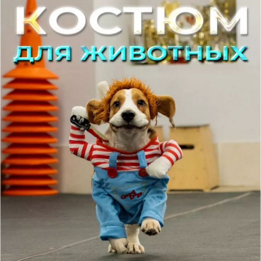 Карнавальный костюм для кота или собаки