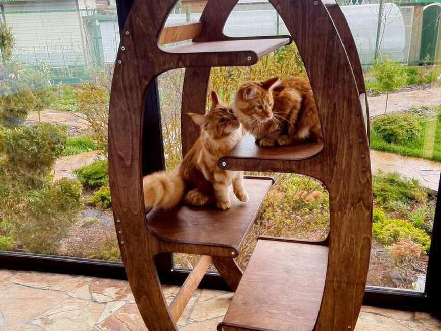 Игровой комплекс для кошек