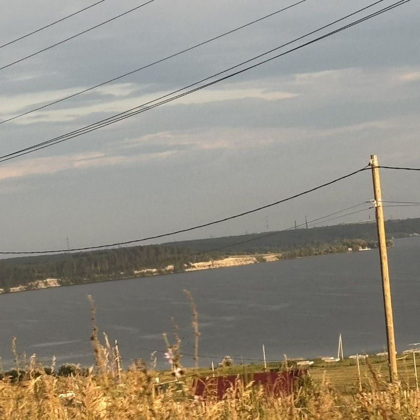 Джек рассел