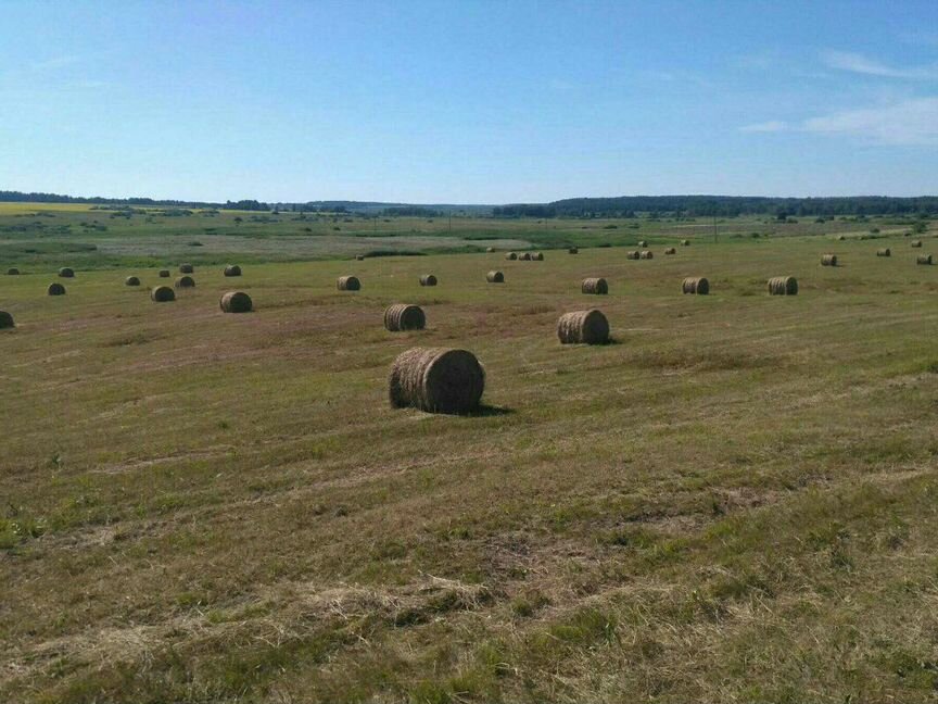 Сено
