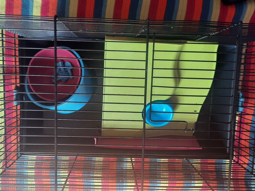 Клетка для грызунов Voltrega