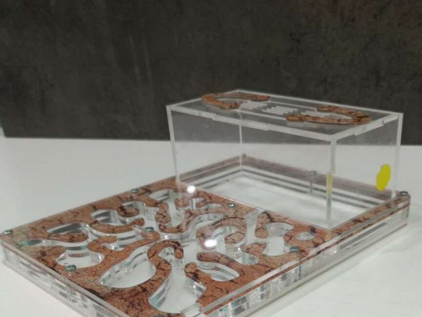 Муравьиная ферма бу