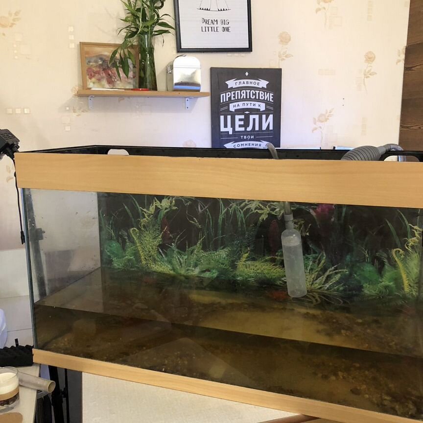 Акариум 200 литров